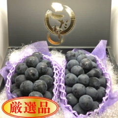 ぶどうのおいしさを全国にお届け｜Nini farm（ニニ ファーム）