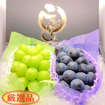 ギフトにおすすめ！ 贈答用ぶどう特集 | ぶどうのおいしさを全国にお届け｜Nini farm（ニニ ファーム）