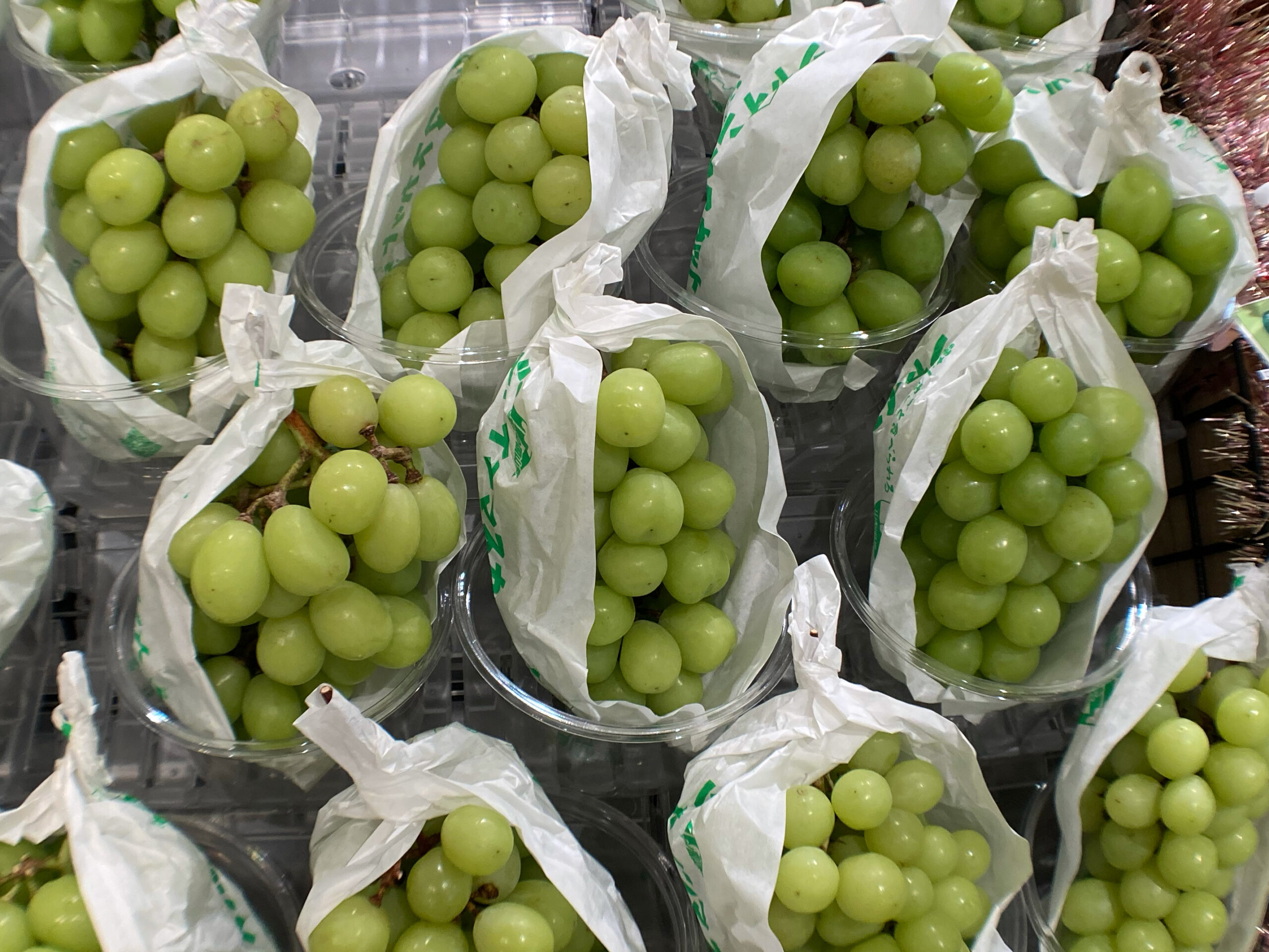 美味しいマスカットの選び方は？ハズレをひかないコツを徹底解説 | ぶどうのおいしさを全国にお届け｜Nini farm（ニニ ファーム）